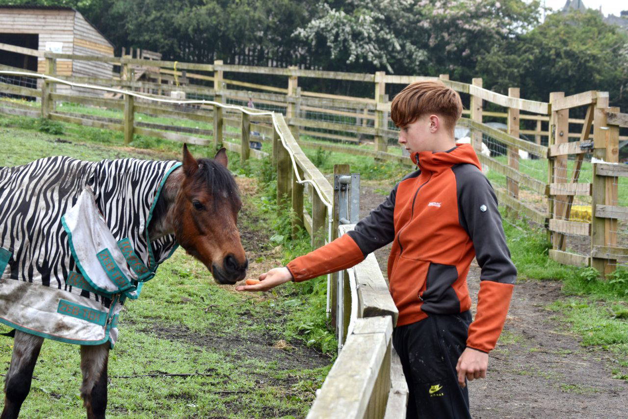 Prism Independent School